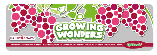 Uvas de Mesa – Agrolatina